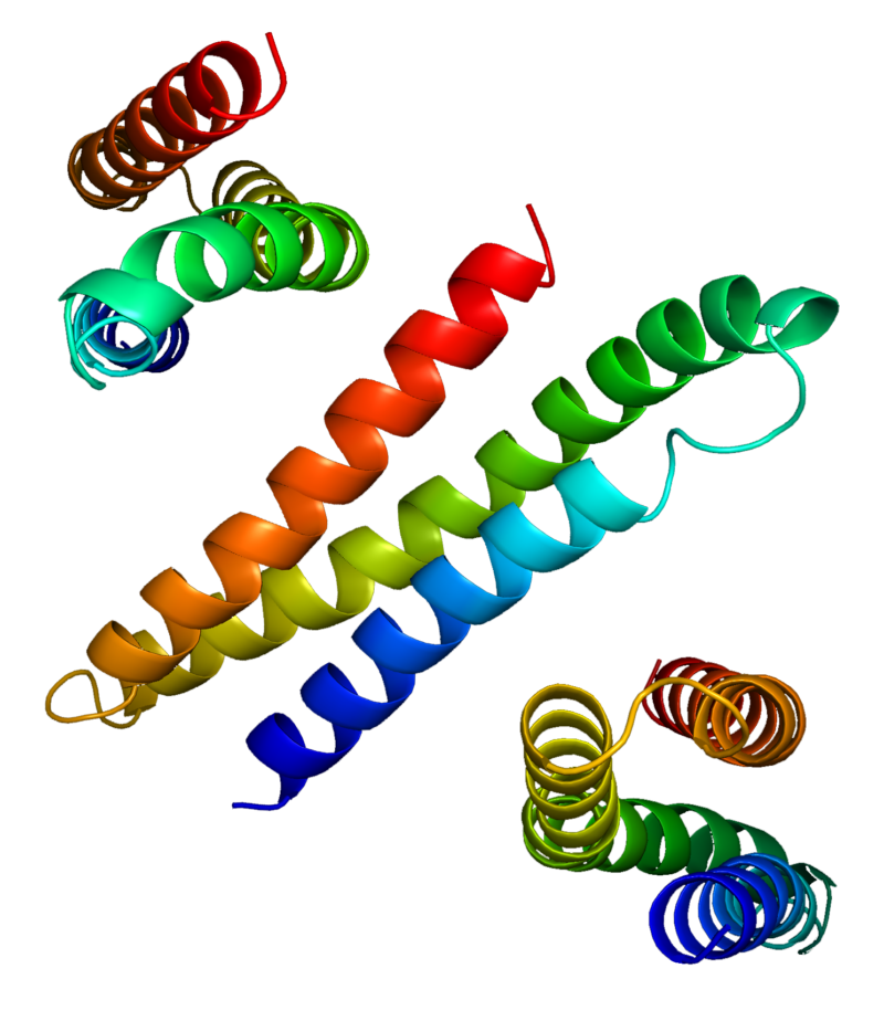 PUBLICATIONS – THOMAS LAB